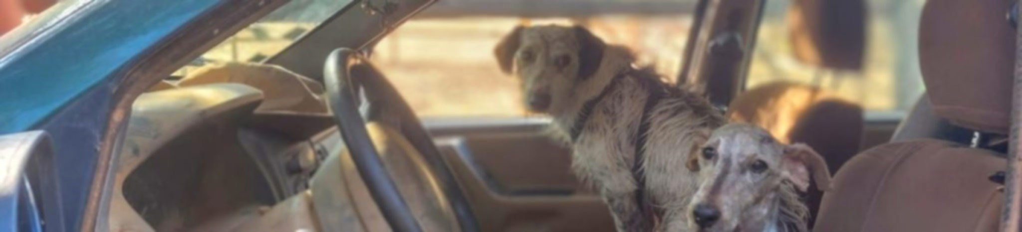 Team - Sundance Ranch Portugal