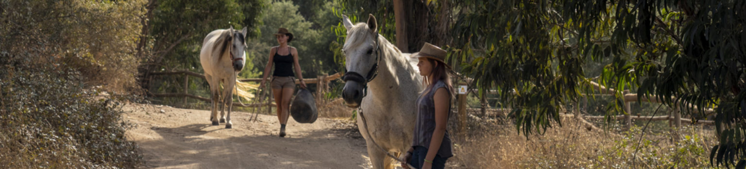 WorkingStudent - Sundance Ranch Portugal